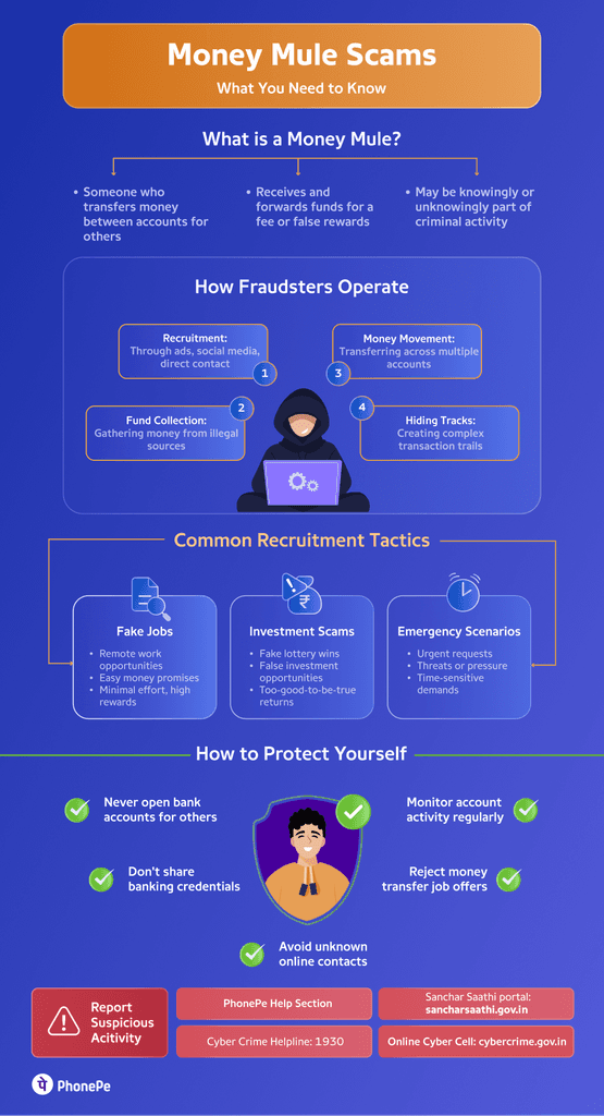 Don’t Become a Money Mule: Your Guide to this Financial Scam