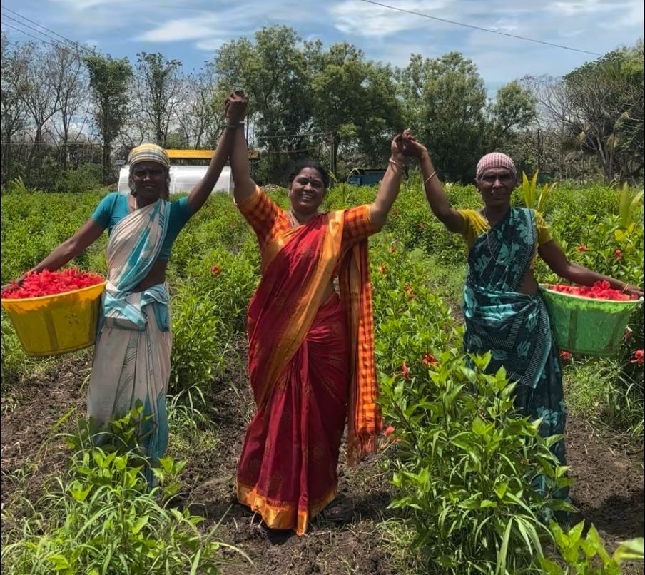 Vaseegrah Veda Bringing Herbal Remedies To Indias Growth Story 7086